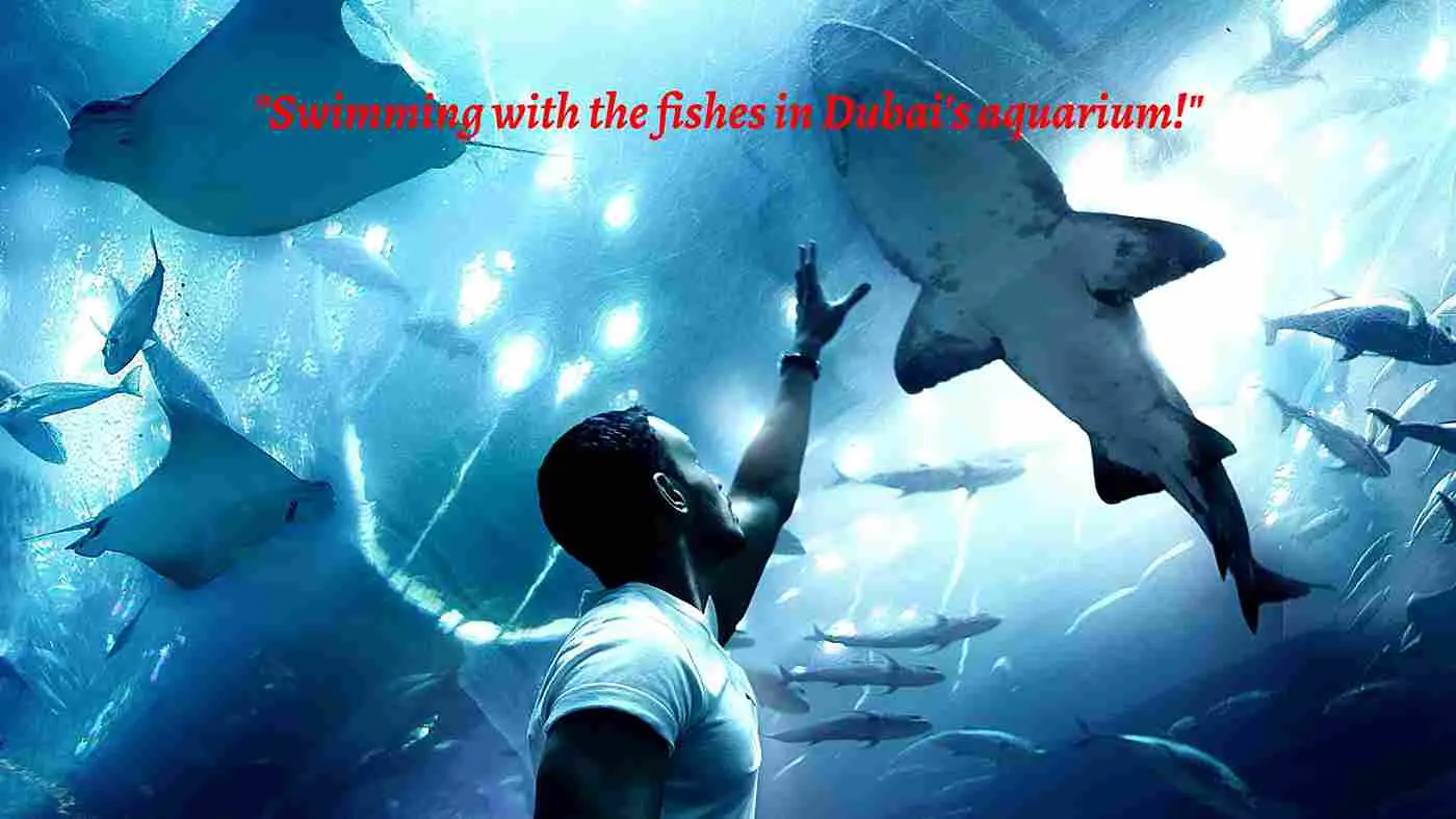 [New] Fish Aquarium Captions Quotes for Instagram in 2023 - Mr. Captions