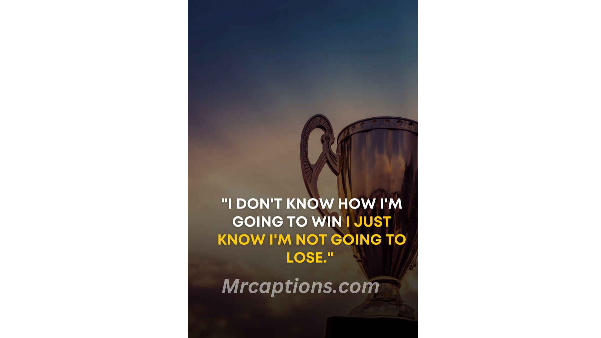 Winning Captions for Trophy Instagram Pictures - Mr. Captions